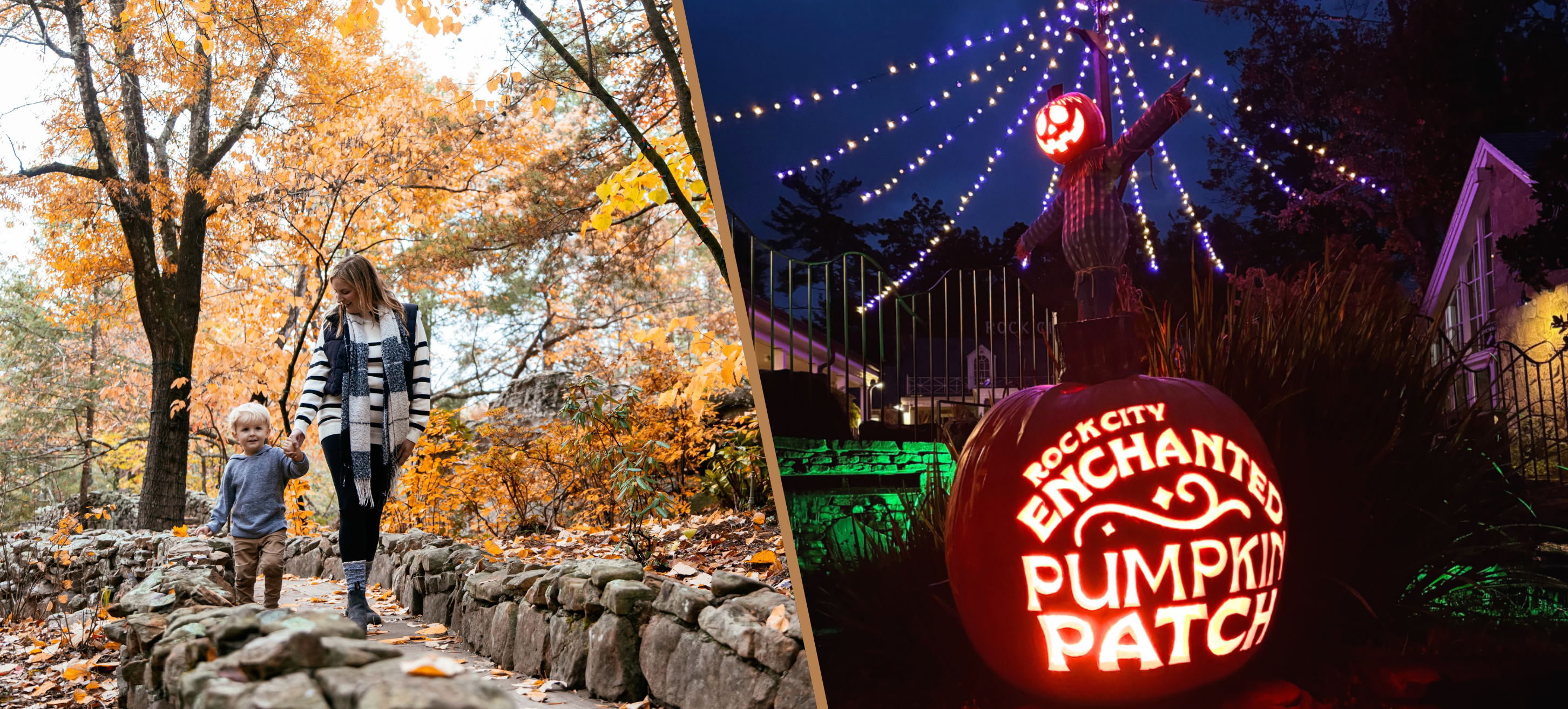 Buy Tickets - Rock City